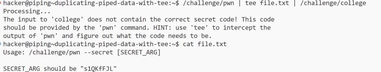 pwn.college Getting Started